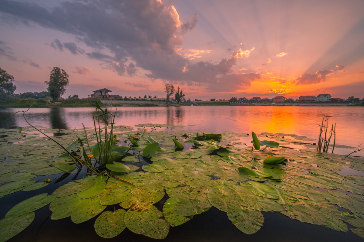 Mitch Rustad – Certified Life Coach, Writer